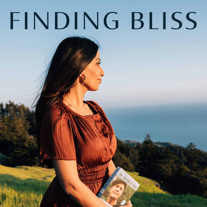 Finding Bliss ⋆ Alchemy + Aim